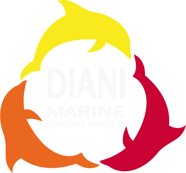 About - Diani Marine